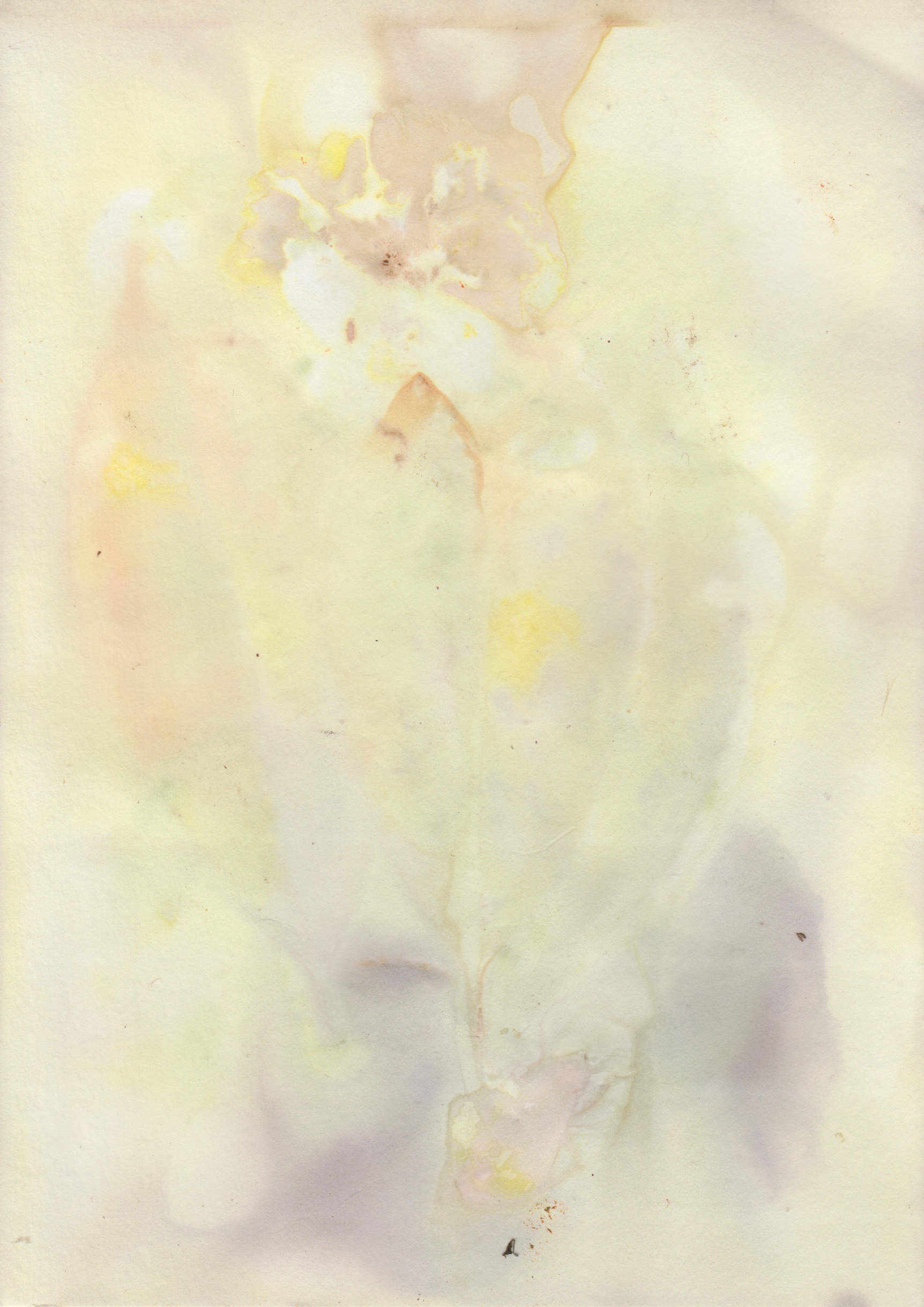 Earth Kin Frequency — Evolving Principles of Kinship